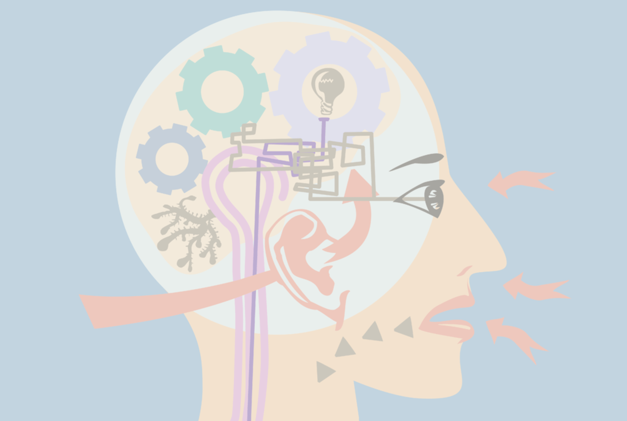 how-sensory-memory-and-your-5-senses-can-improve-study-effectiveness