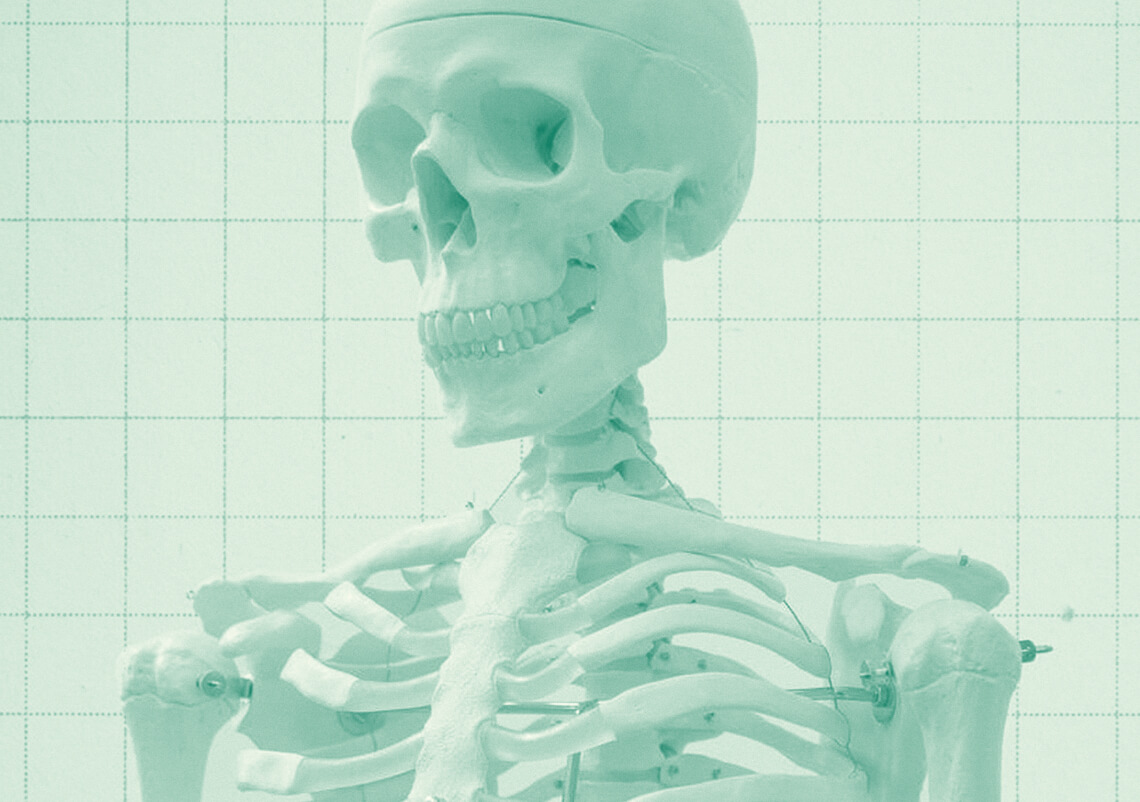 Hesi A2 Anatomy Physiology Practice Test FREE HESI A2 Anatomy