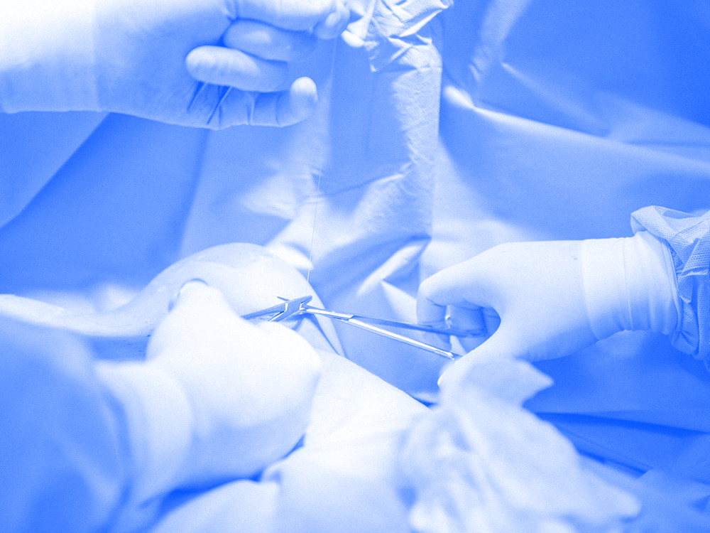 NBSTSA CSFA - Pocket Prep